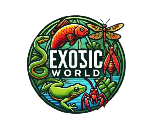 EXOTIC WORLD - EXOTICWORLD PERU